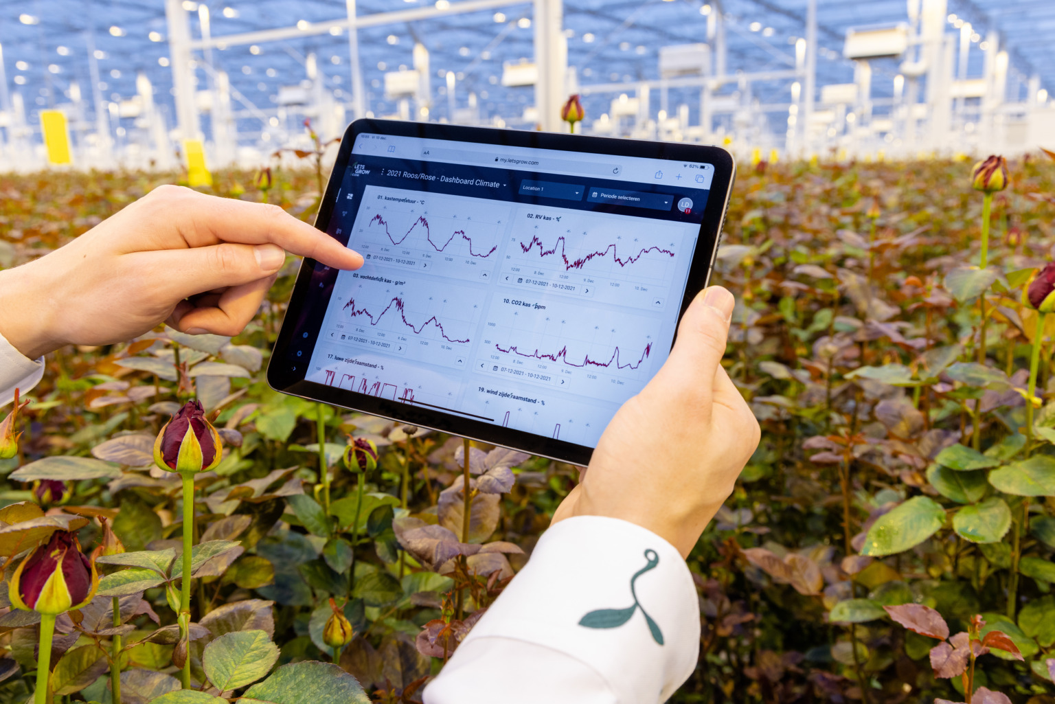 Managers - LetsGrow.com