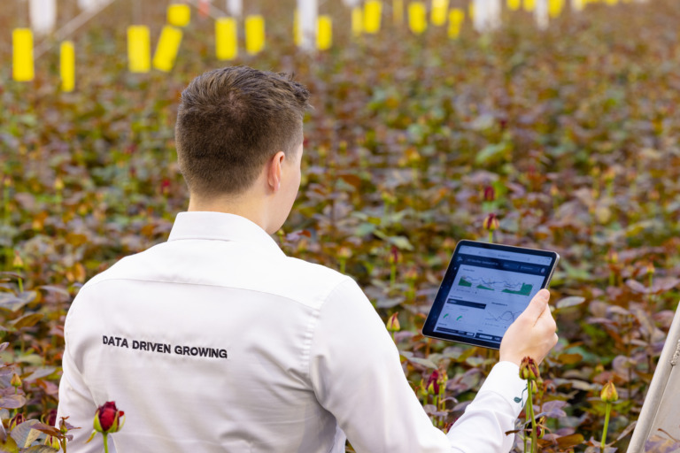 Dashboard vernieuwd op MyLetsGrow - LetsGrow.com