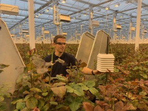 Nieuws - LetsGrow.com