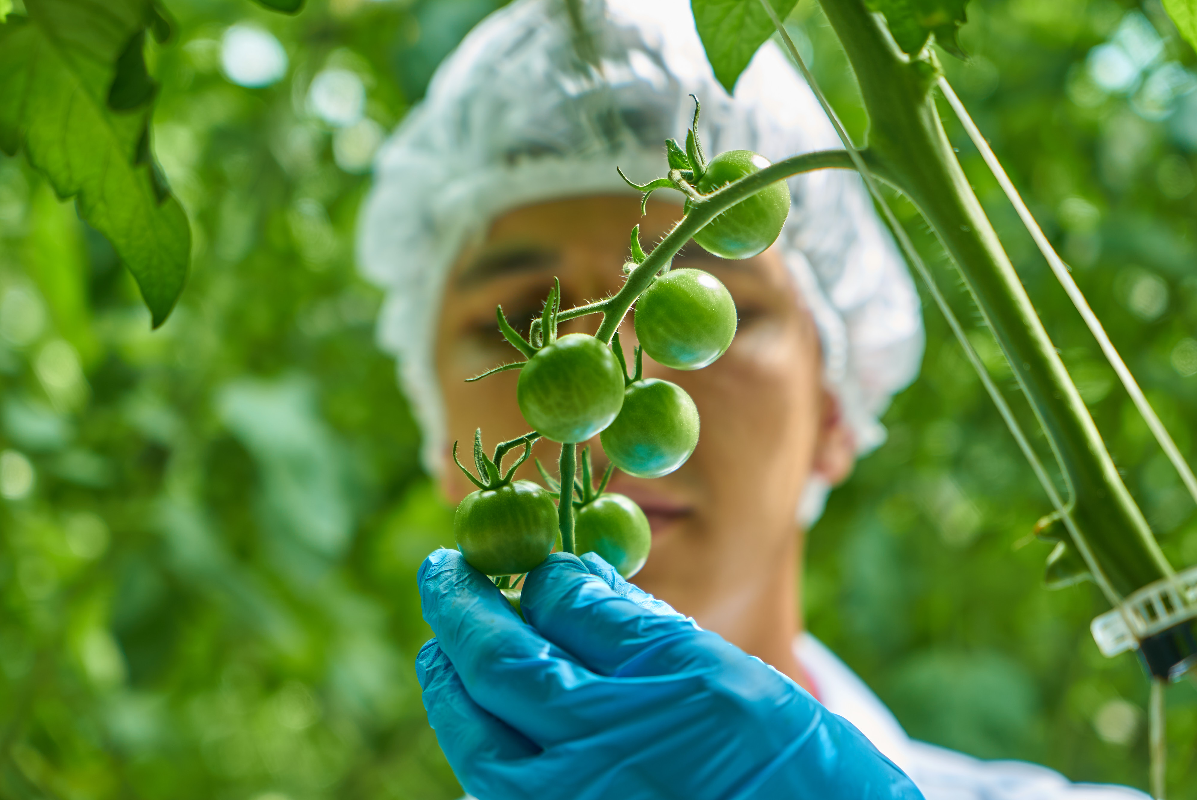 Taking IPM registration to the next level with LetsGrow.com - LetsGrow.com