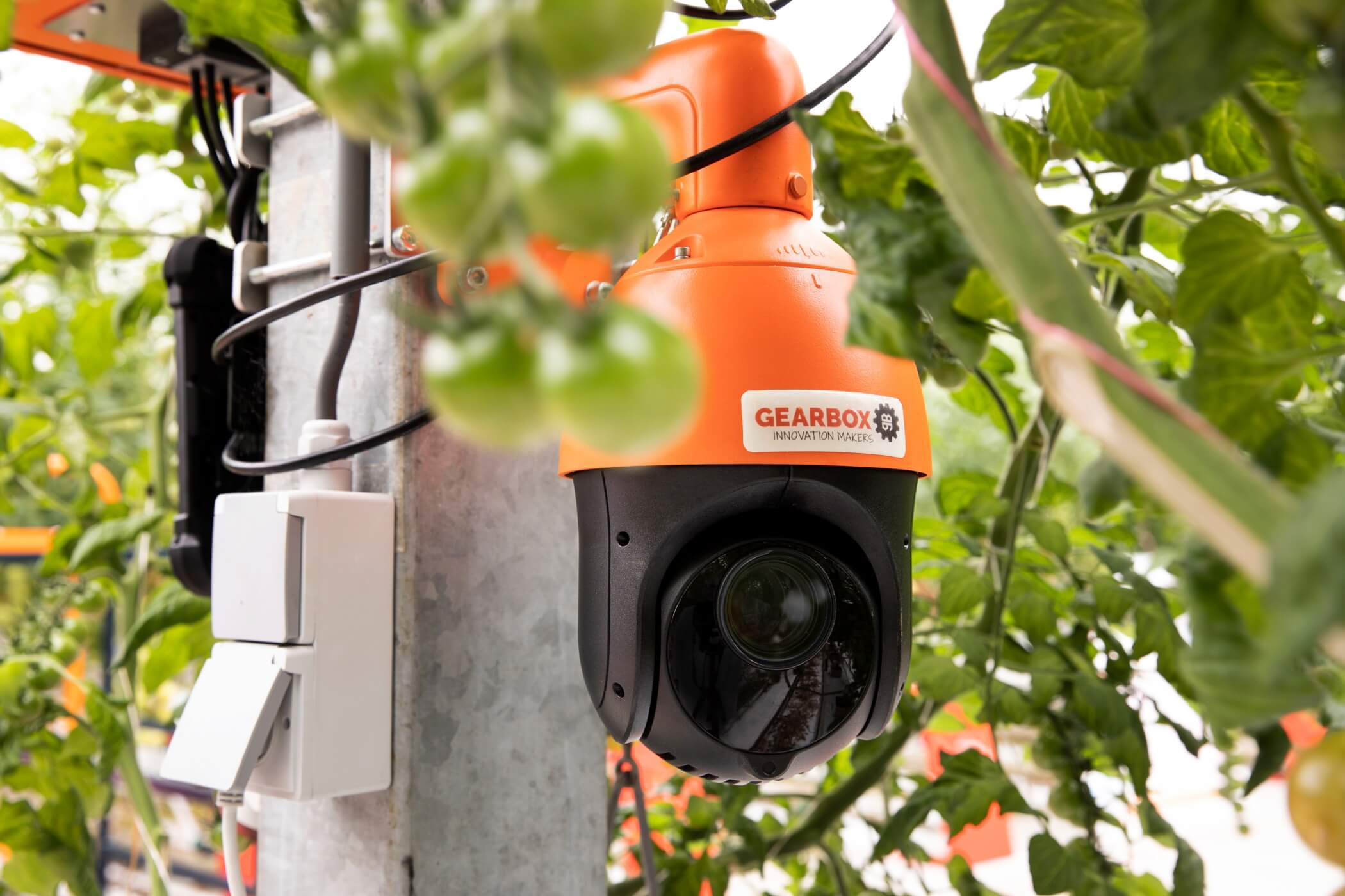 Gearbox Innovations & LetsGrow.com - LetsGrow.com