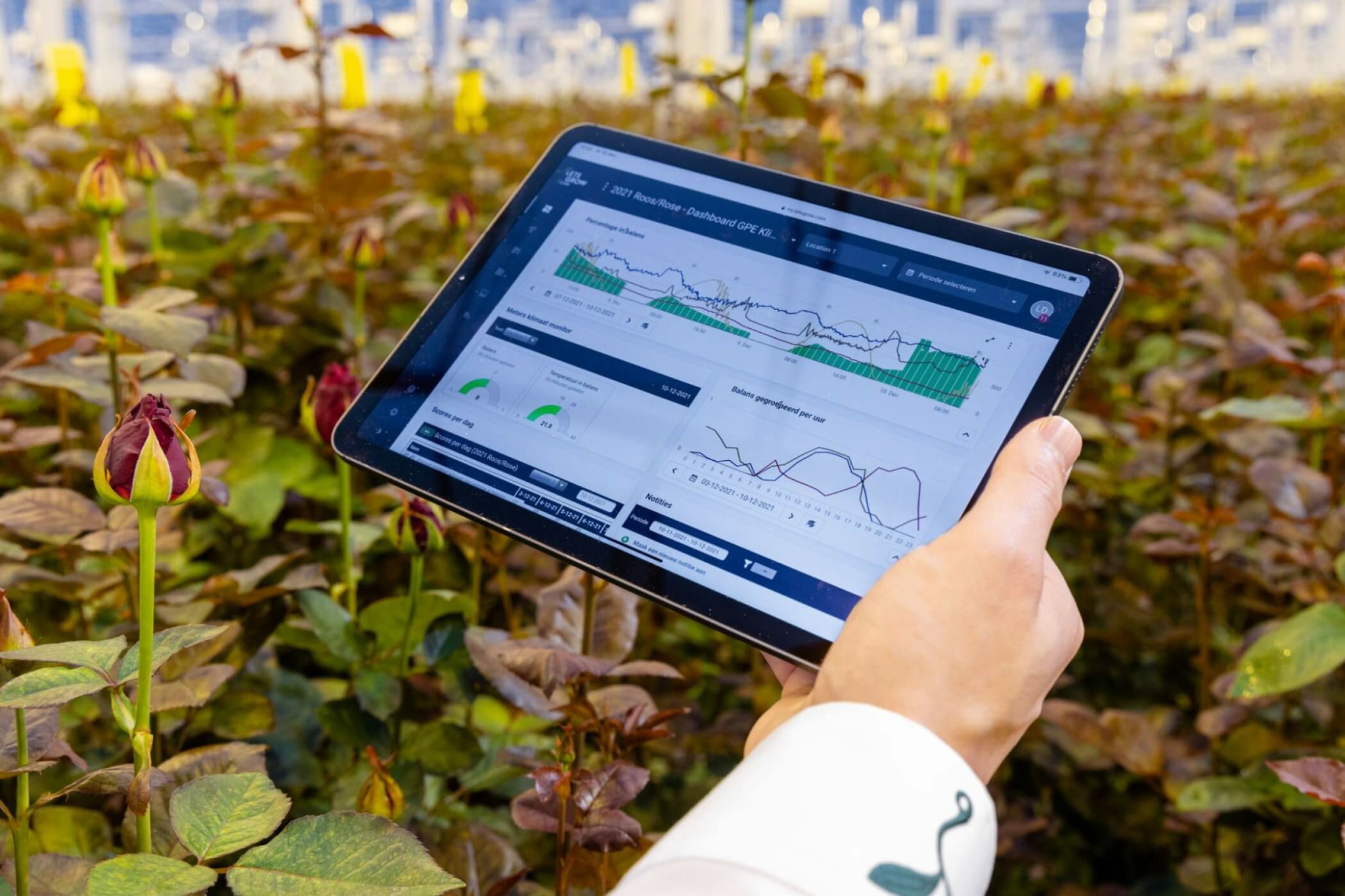 New MyLetsGrow dashboard - LetsGrow.com