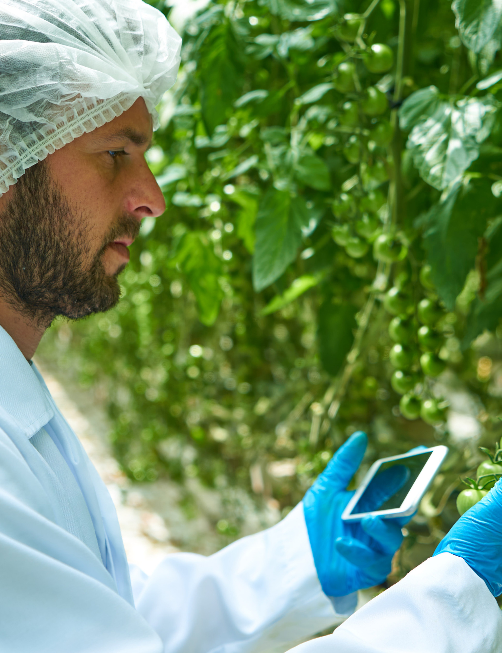 About us - LetsGrow.com