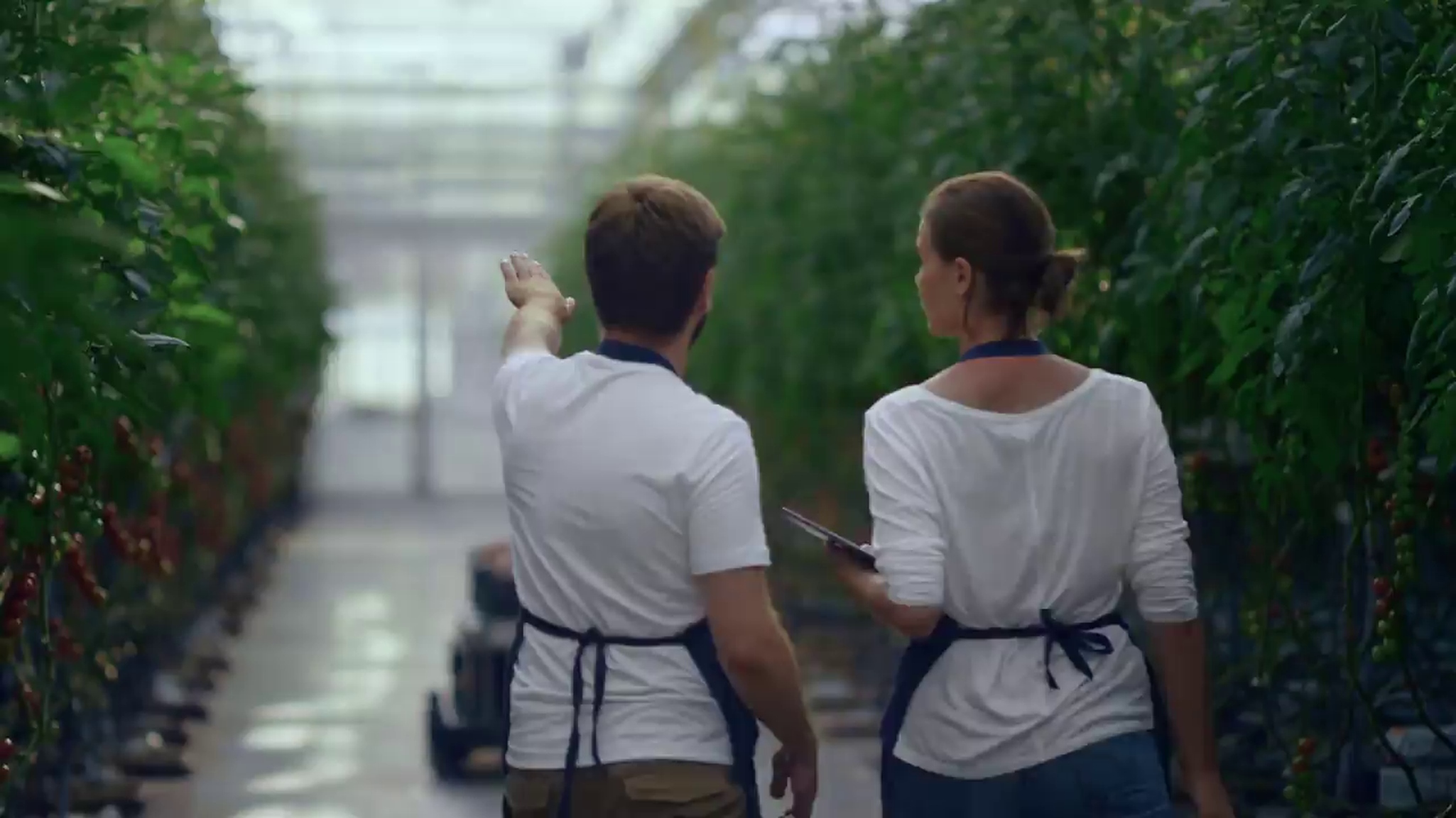 Oplossingen voor Managers - LetsGrow.com