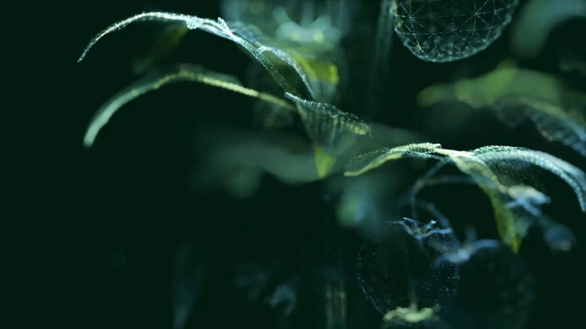 About us - LetsGrow.com