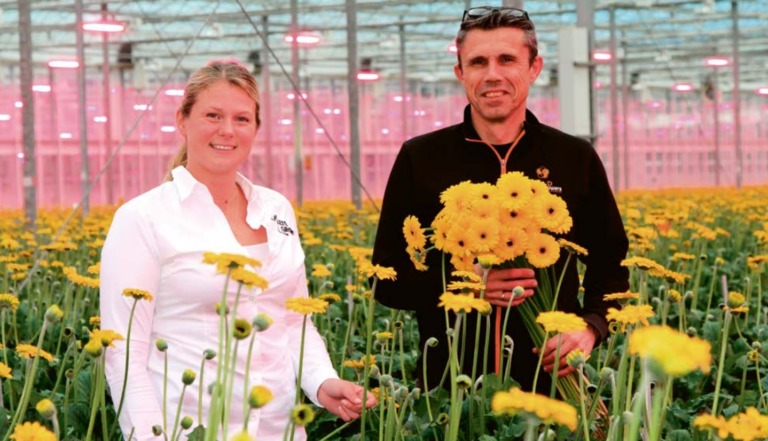 Nieuws - LetsGrow.com