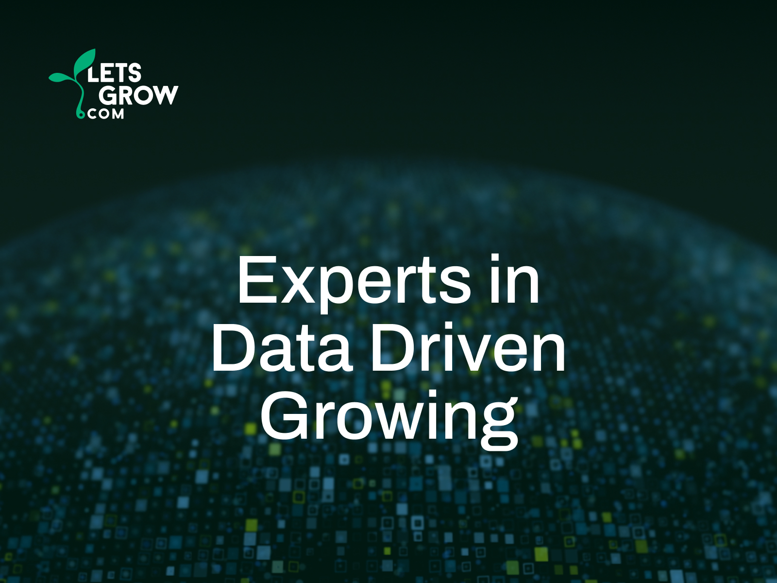 LetsGrow.com - Worldwide experts in Data Driven Growing