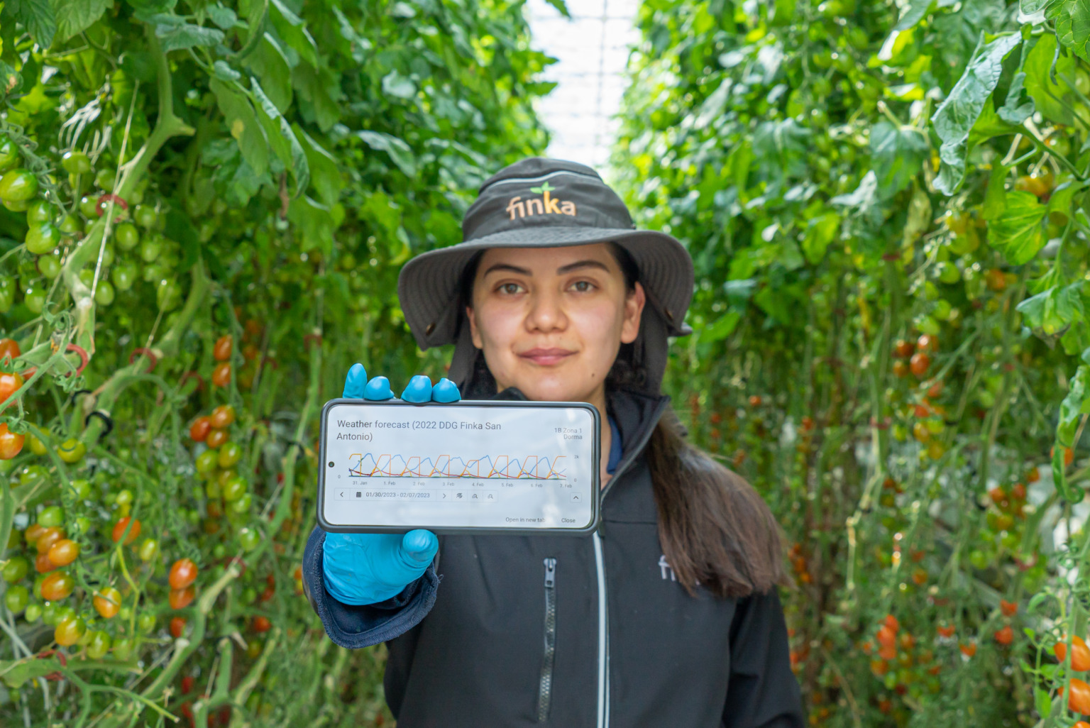 Finka’s dedication to Data Driven Growing - LetsGrow.com