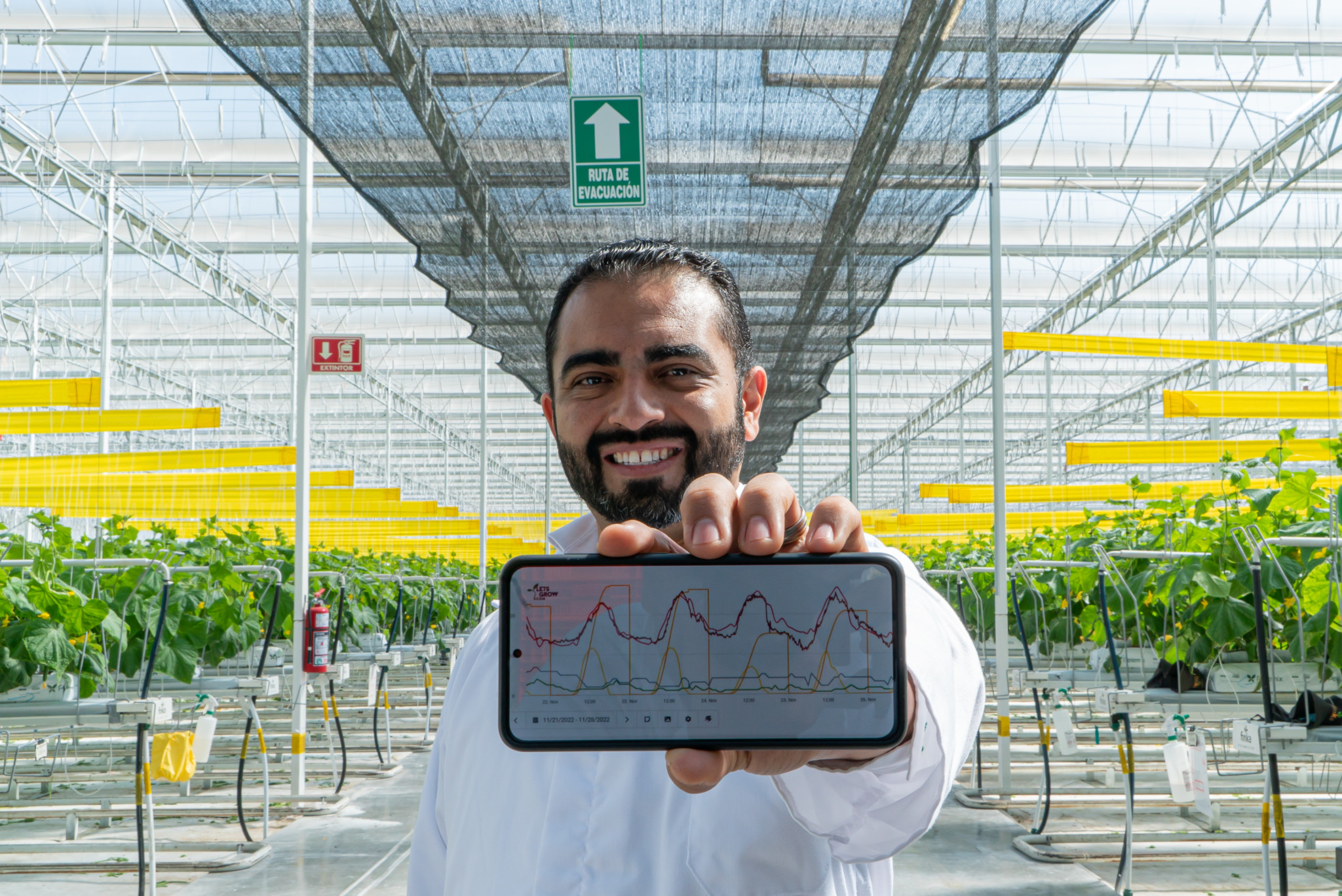 Strategy Manager - LetsGrow.com