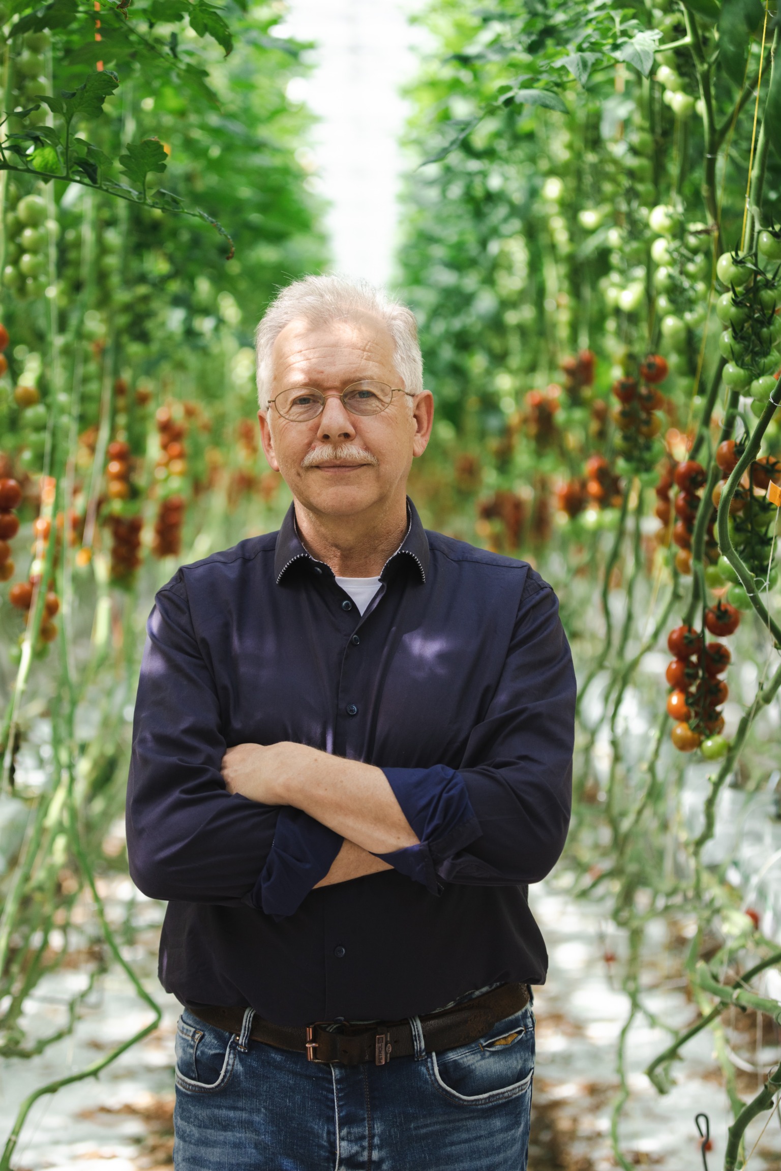 Strategy Manager - LetsGrow.com