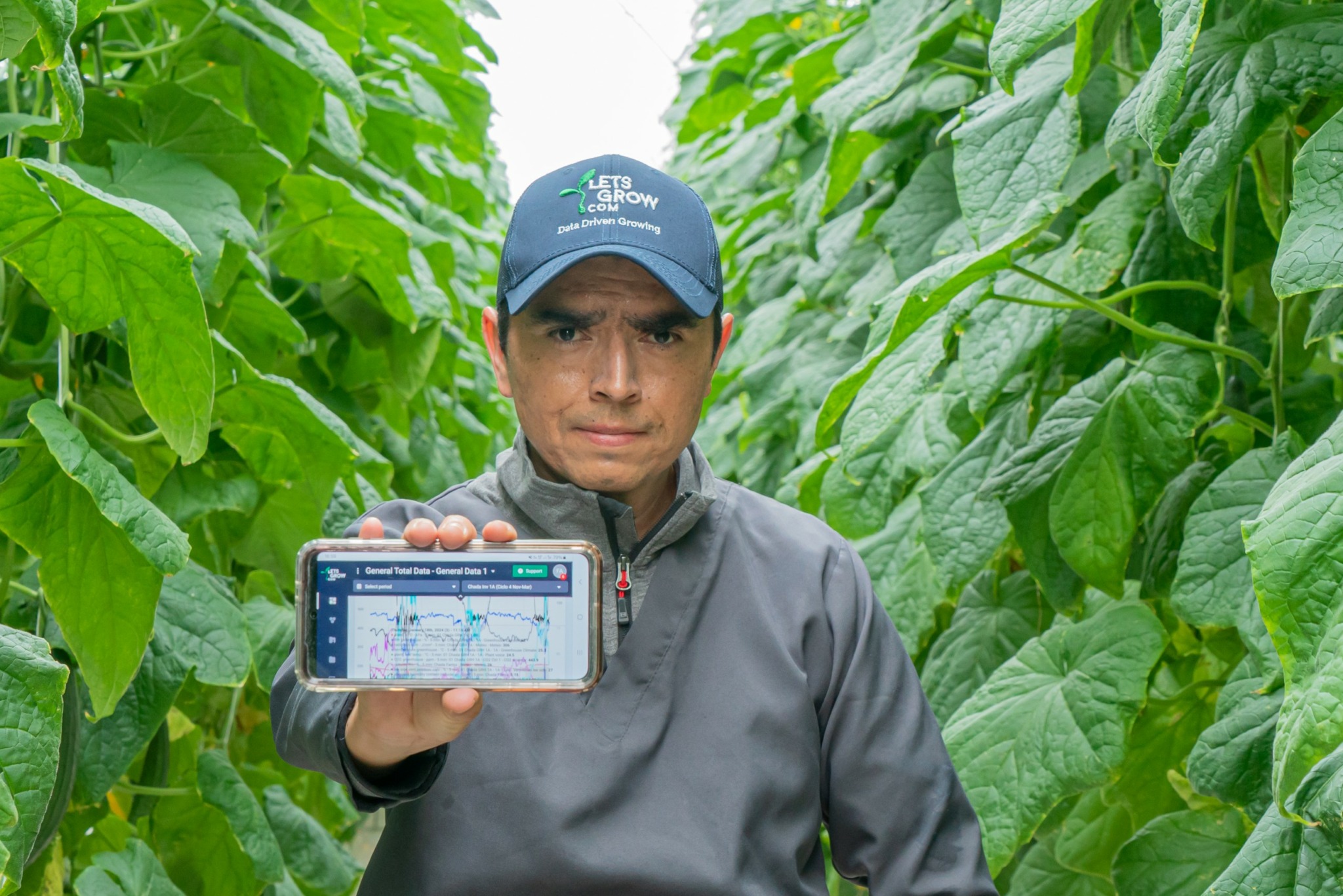 Optimizing Agricultural Efficiency with LetsGrow.com: Chada Group's Success Story - LetsGrow.com