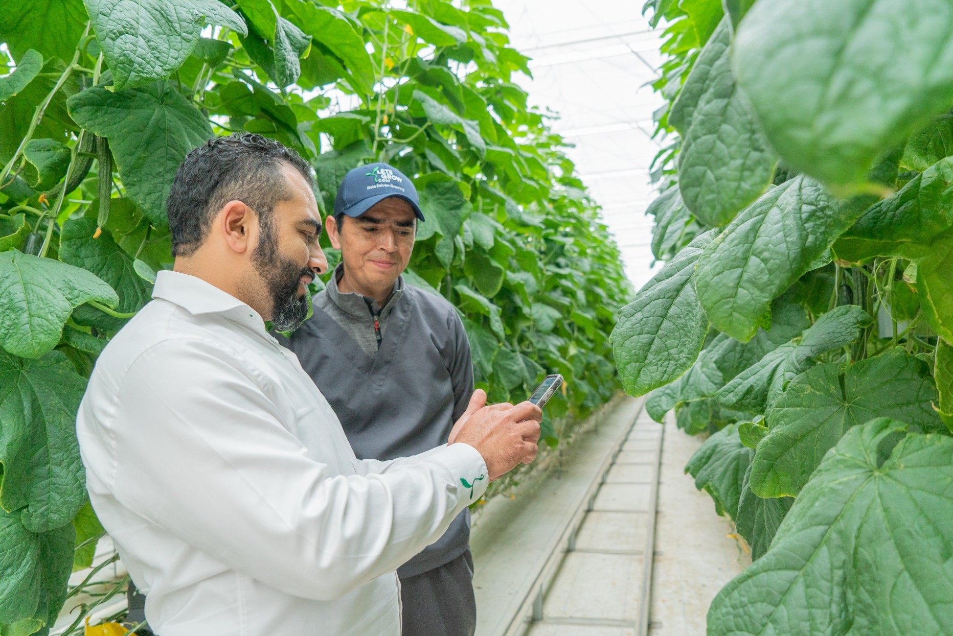 Optimizing Agricultural Efficiency with LetsGrow.com: Chada Group's Success Story - LetsGrow.com