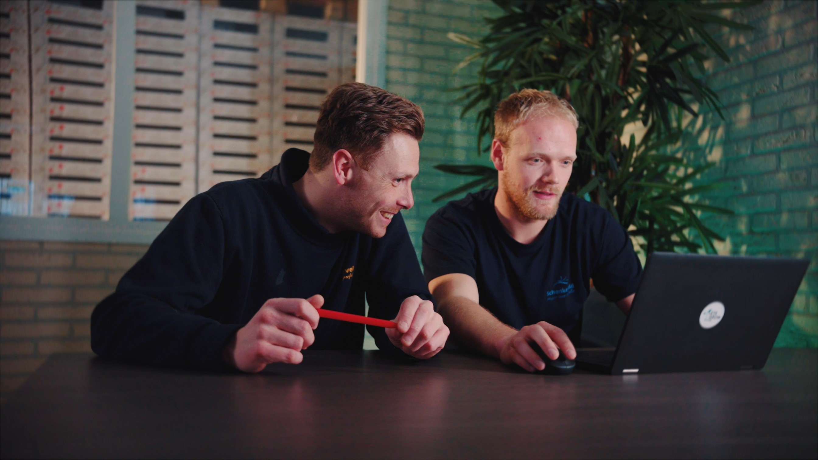 The importance of data in cultivation: behind the scenes at Schenkeveld ...