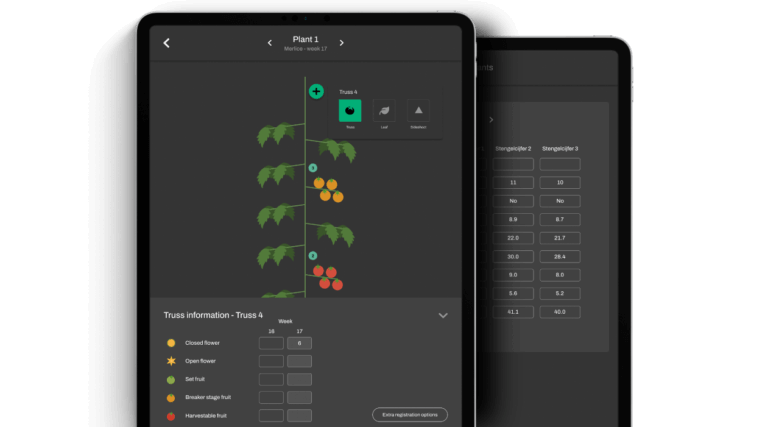 LetsGrow.com - Data Driven Growing - Optimaliseer uw resultaten